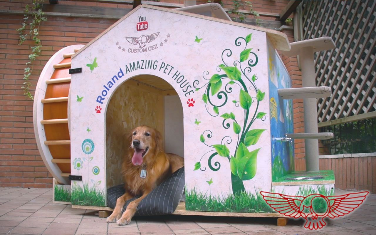 How to make an Amazing Dog and Cat house with an automatic water ...